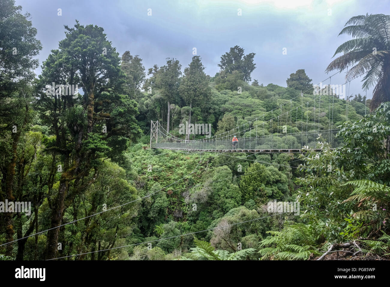 Timber trail hi-res stock photography and images - Alamy