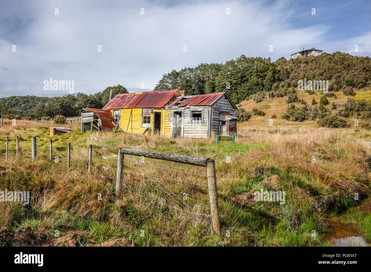 Big trees trail hi-res stock photography and images - Alamy