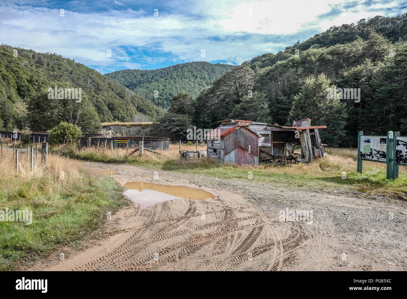 Big trees trail hi-res stock photography and images - Alamy