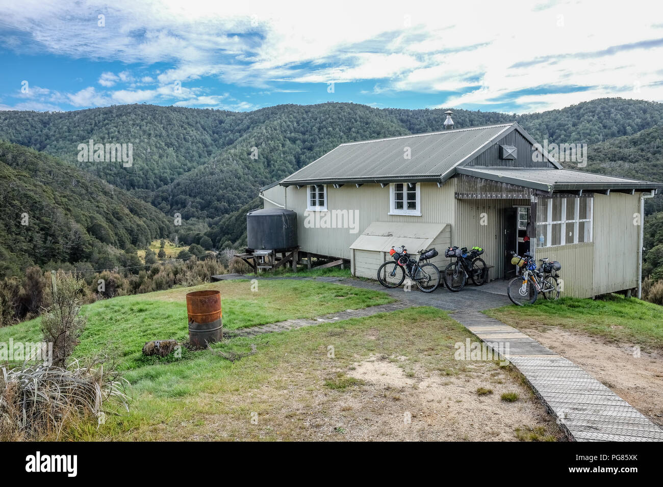 Big trees trail hi-res stock photography and images - Alamy