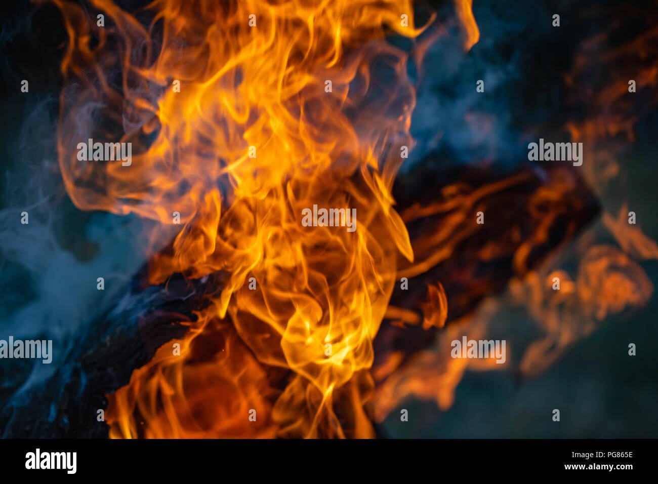 Fire and smoke. Glowing, burning carbonized firewood in a bonfire ...