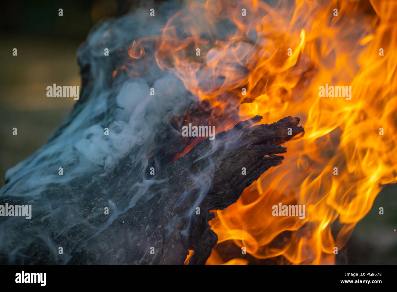 Fire and smoke. Glowing, burning carbonized firewood in a bonfire ...
