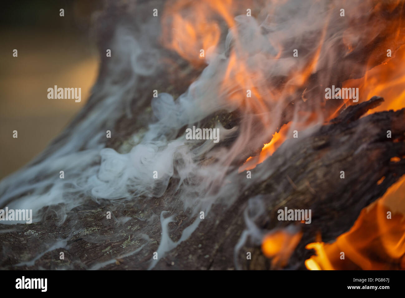 Fire and smoke. Glowing, burning carbonized firewood in a bonfire ...