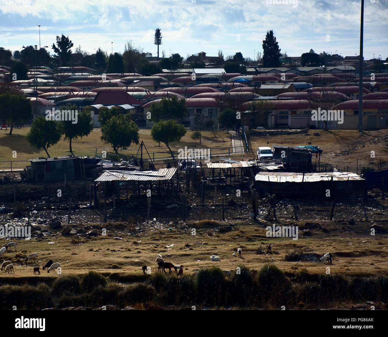 Soweto south africa hi-res stock photography and images - Alamy