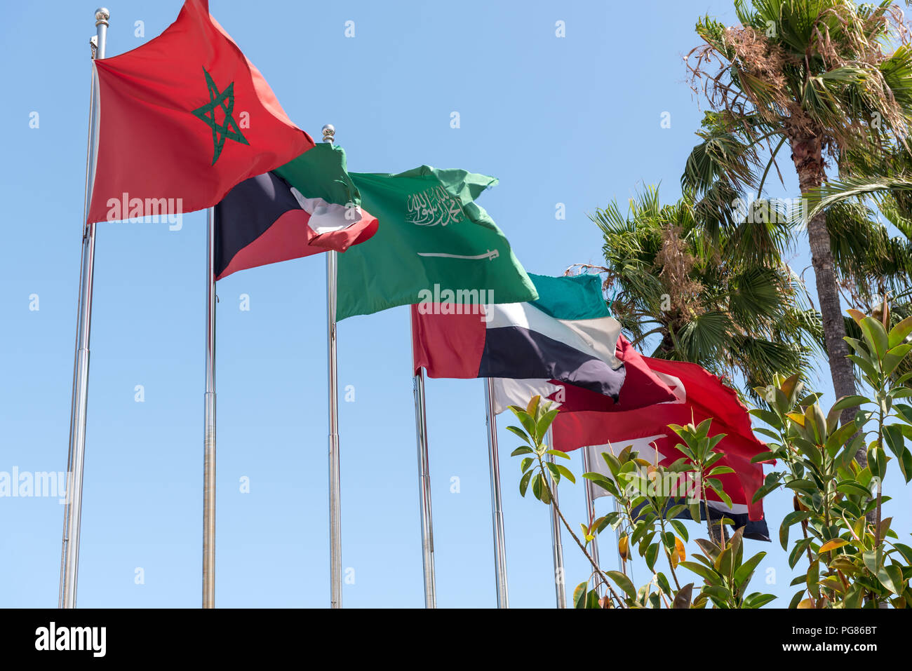 Flags of MENA (Middle East and North Africa on a series of flagpoles ...