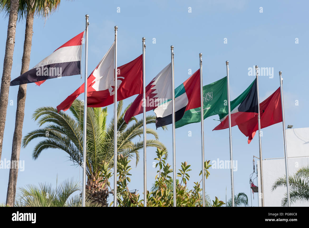 Flags of MENA (Middle East and North Africa on a series of flagpoles ...