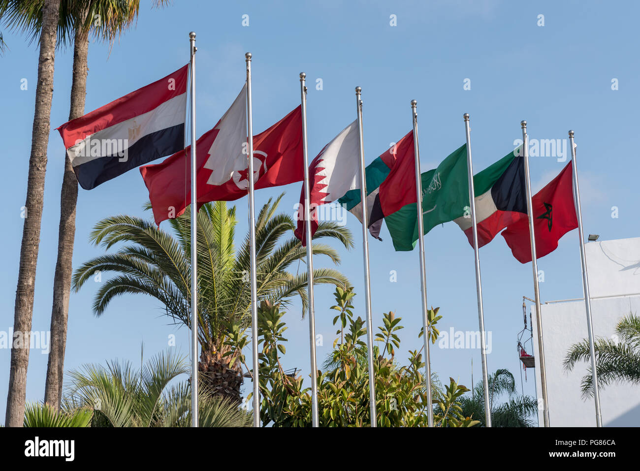 Flags of MENA (Middle East and North Africa on a series of flagpoles ...