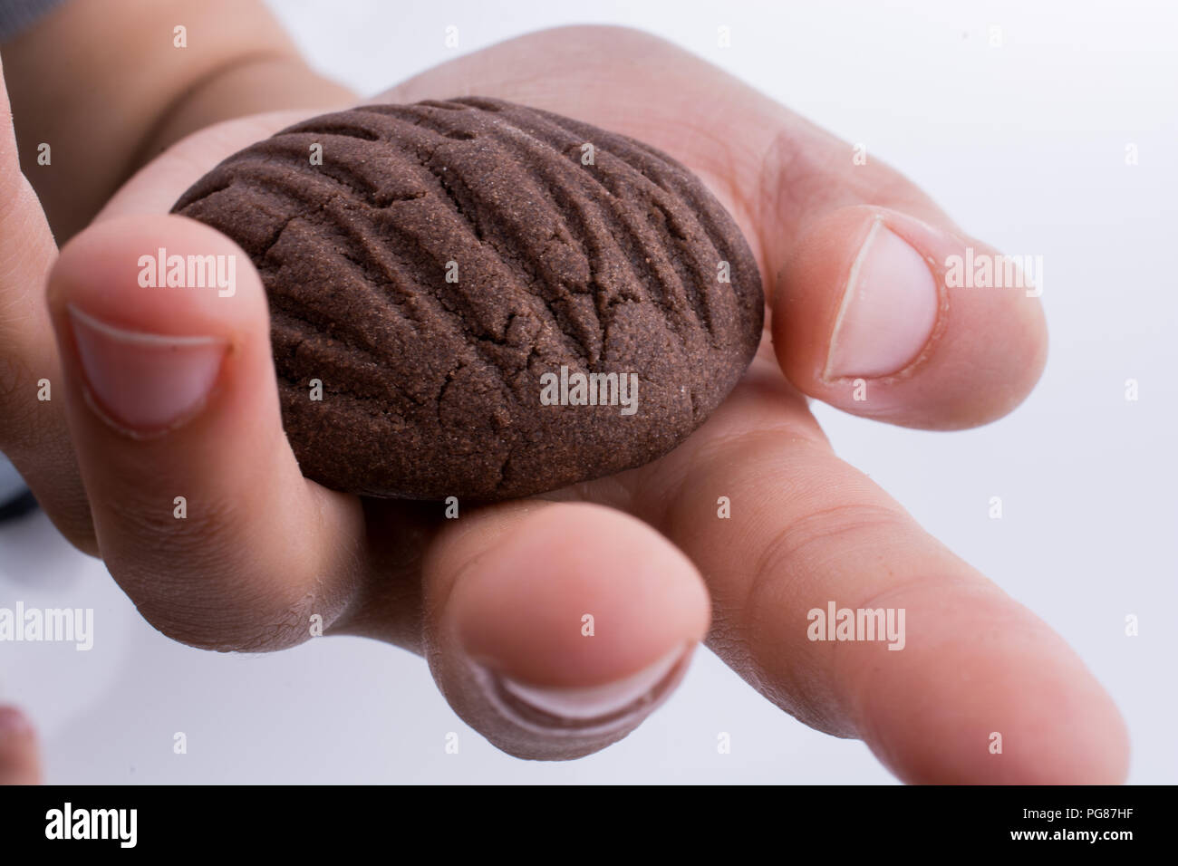 Hand holding a chocolate cookie on a white background Stock Photo - Alamy