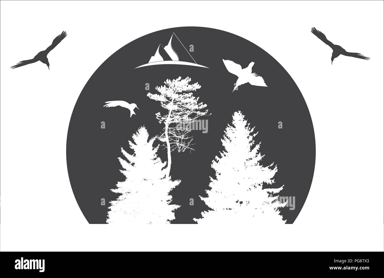 Summer camp image nature Cut Out Stock Images & Pictures - Alamy