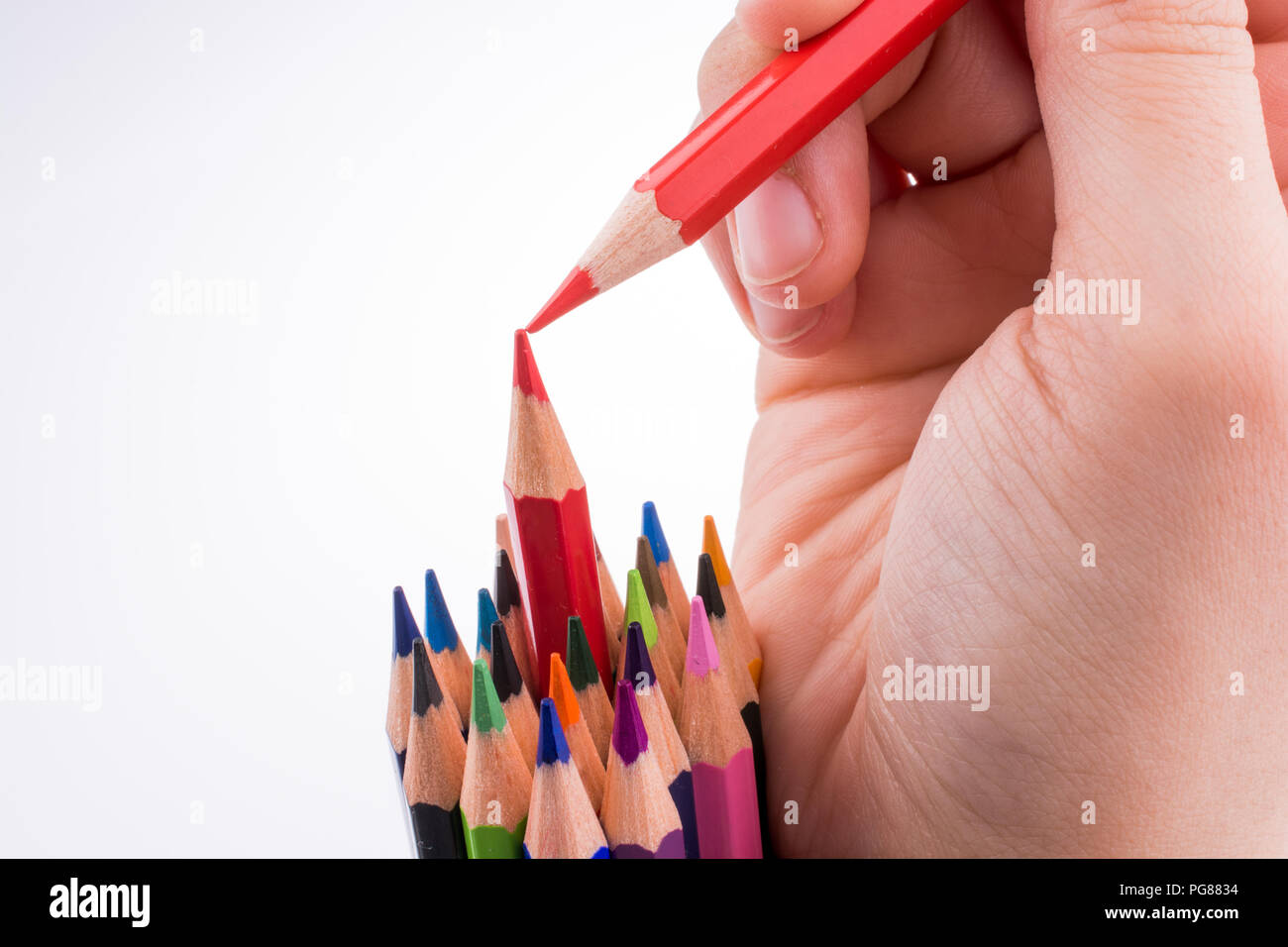 Hand holding color pencils on a white background Stock Photo - Alamy