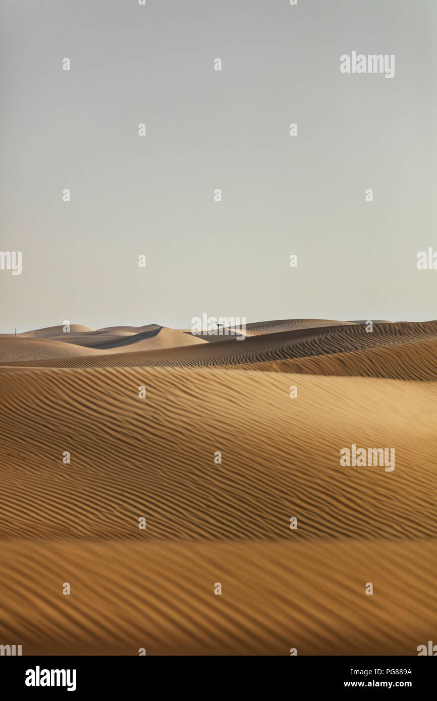 Sand Dunes in the UAE Stock Photo - Alamy