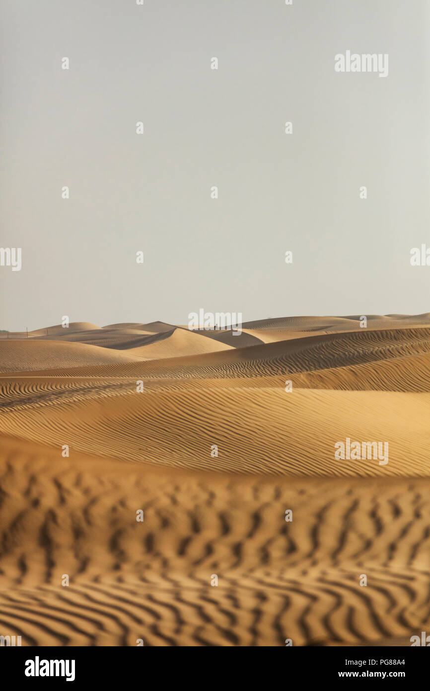 Sand Dunes in the UAE Stock Photo - Alamy