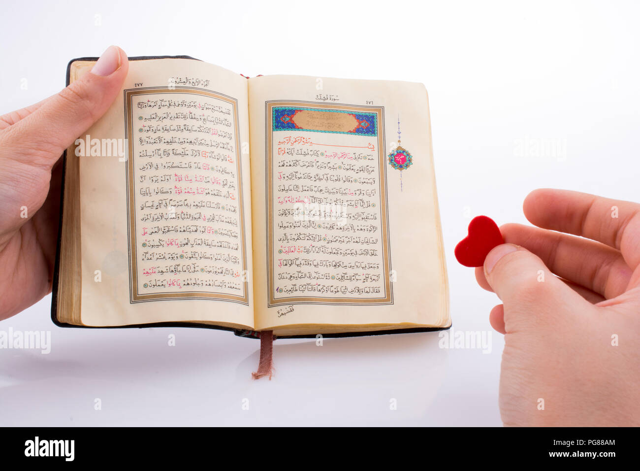 Hand holding The Holy Quran with a heart on a white background Stock ...