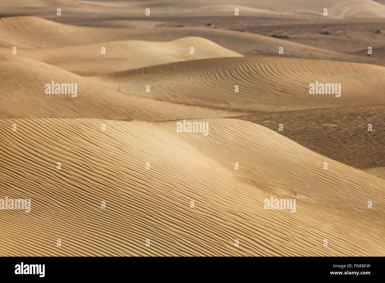 Sand Dunes in the UAE Stock Photo - Alamy