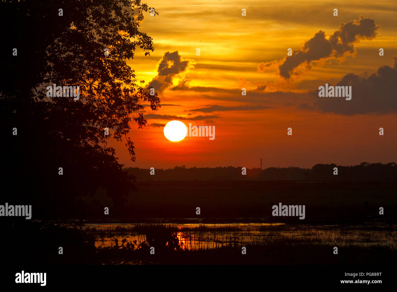 Bangladeshi dark nature hi-res stock photography and images - Alamy