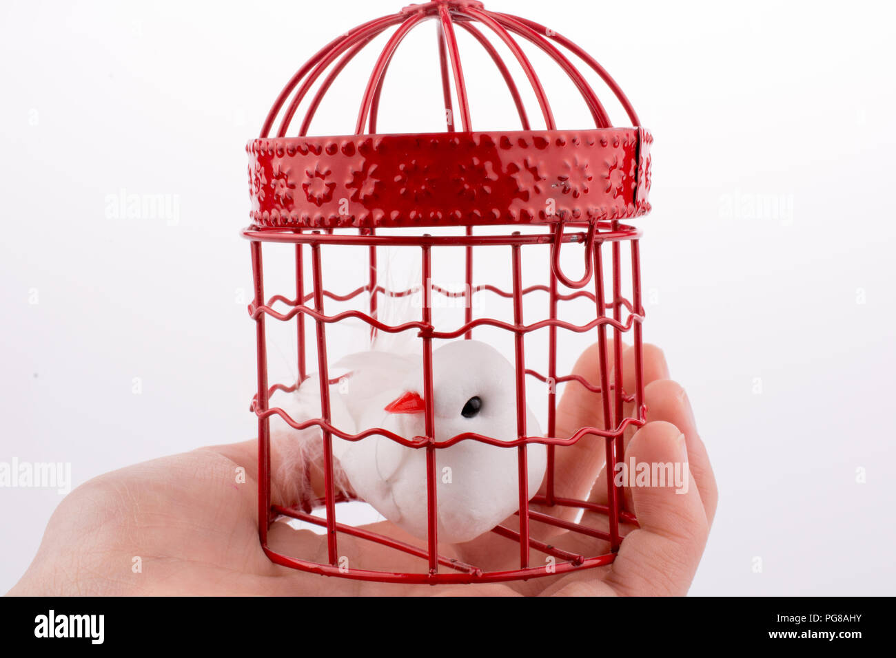 Bird in a birdcage Stock Photo - Alamy