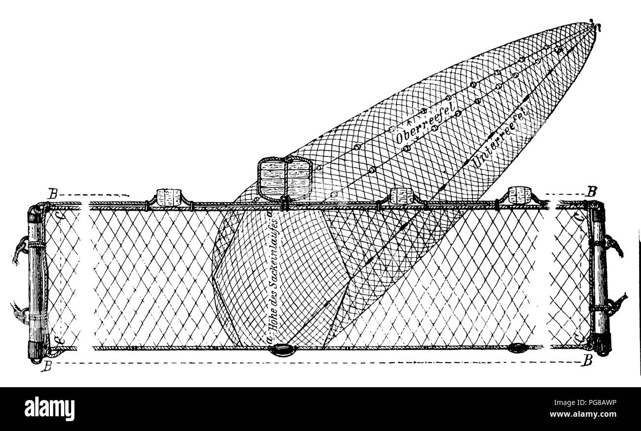 Fischernetz fische hi-res stock photography and images - Alamy