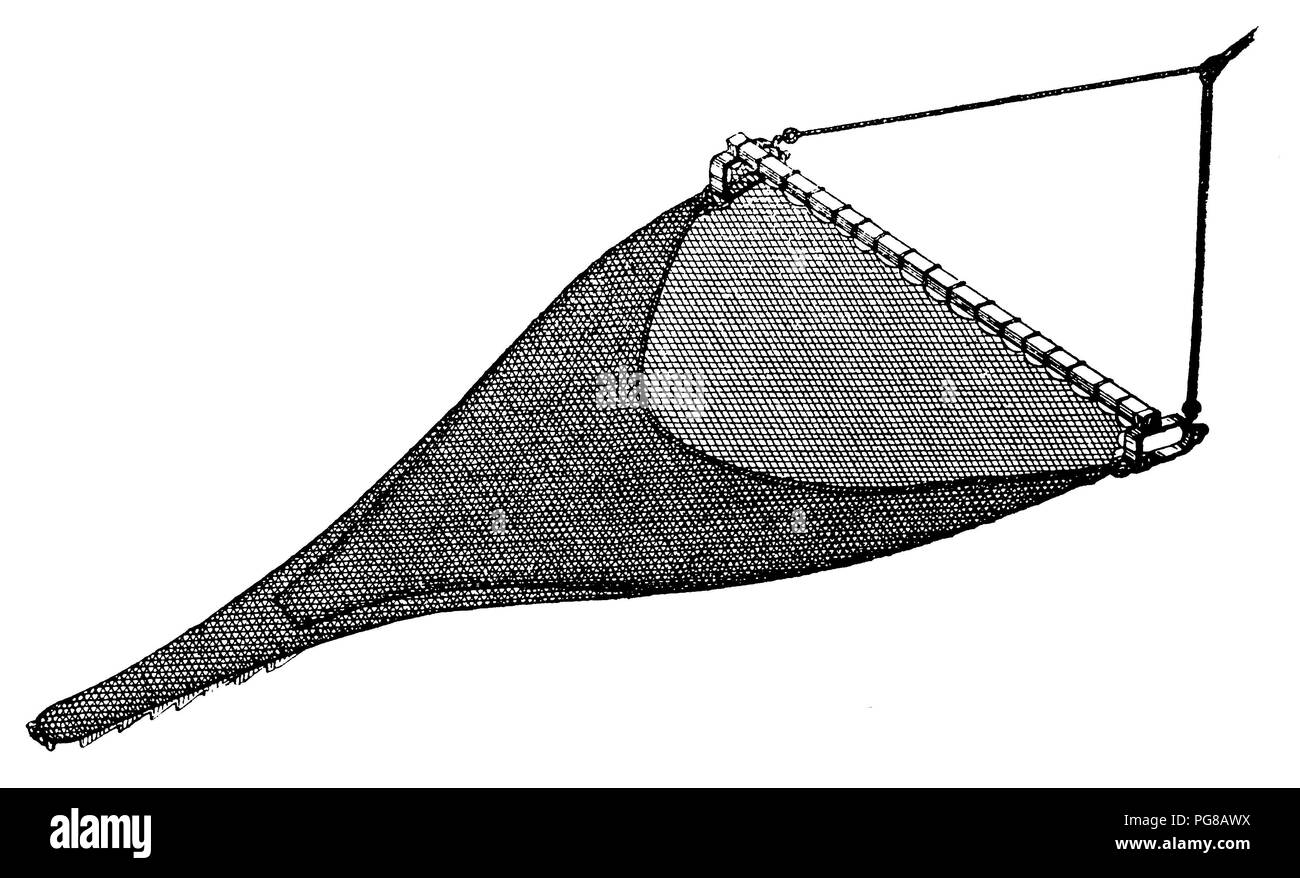 Trawl net Cut Out Stock Images & Pictures - Alamy