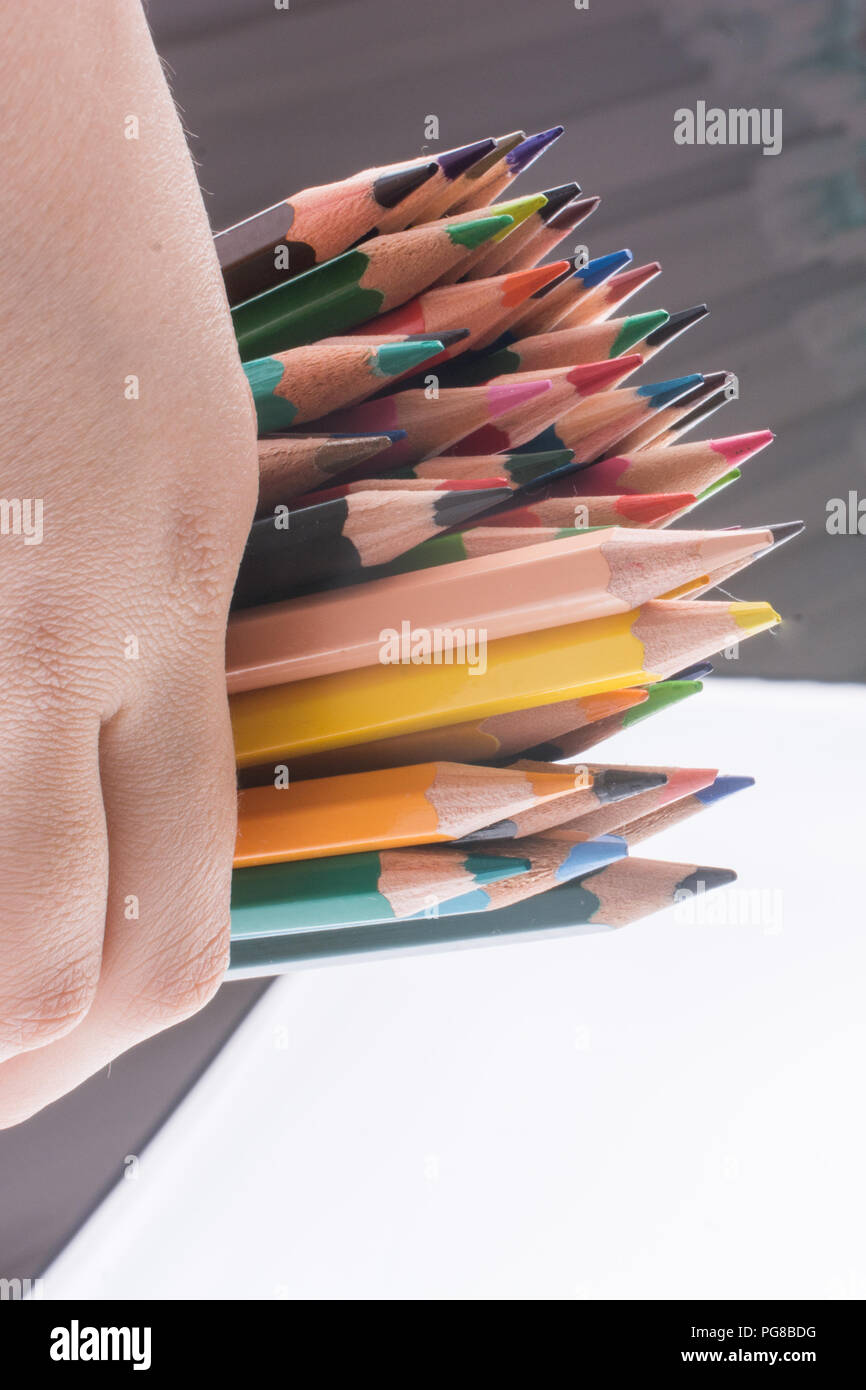 Hand holding Color pencils on a white background Stock Photo - Alamy