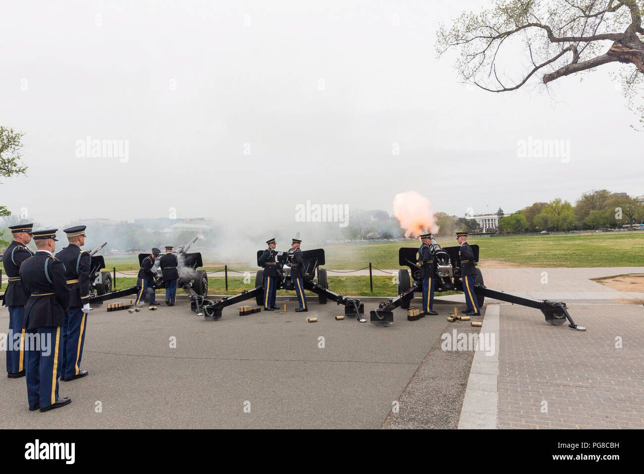 Members of the 3rd U.S. Infantry Regiment Presidential Salute Battery ...
