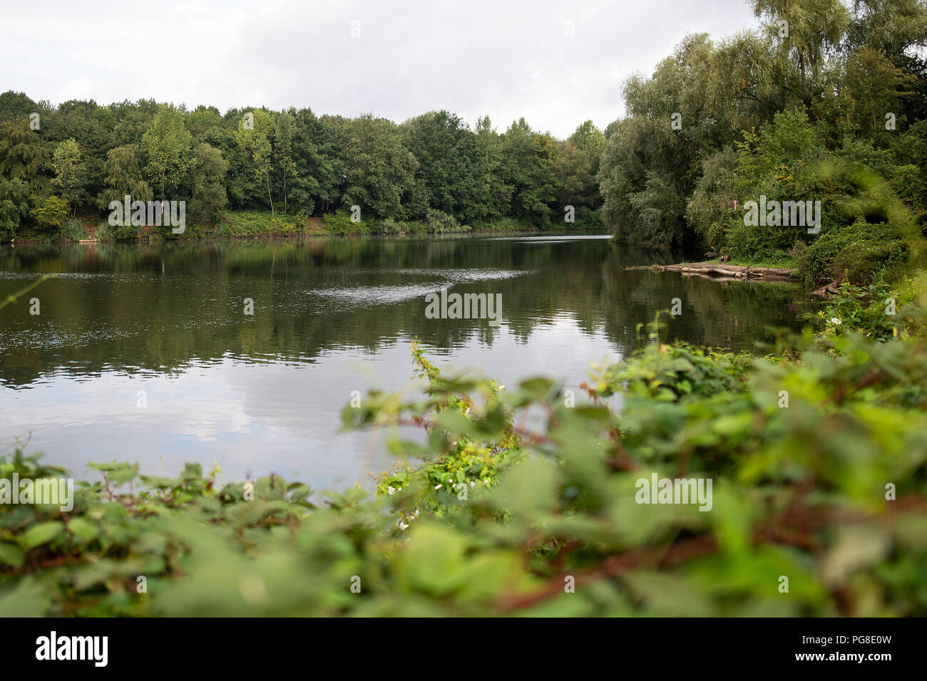 Meerbusch, Germany. 24th Aug, 2018. Lake Latum. The city of Meerbusch ...