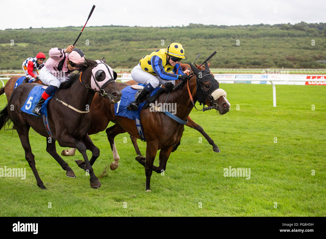 Ffos Las Racecourse, Trimsaran, Wales, UK. Friday 24 August 2018 ...