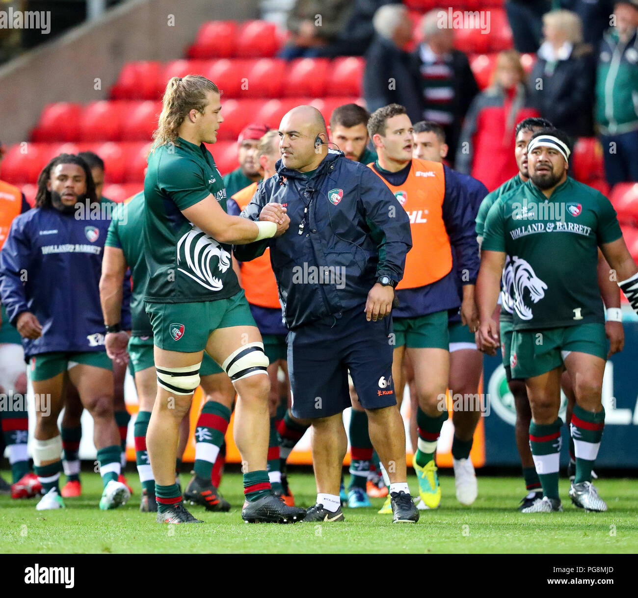 David denton tigers hi-res stock photography and images - Alamy