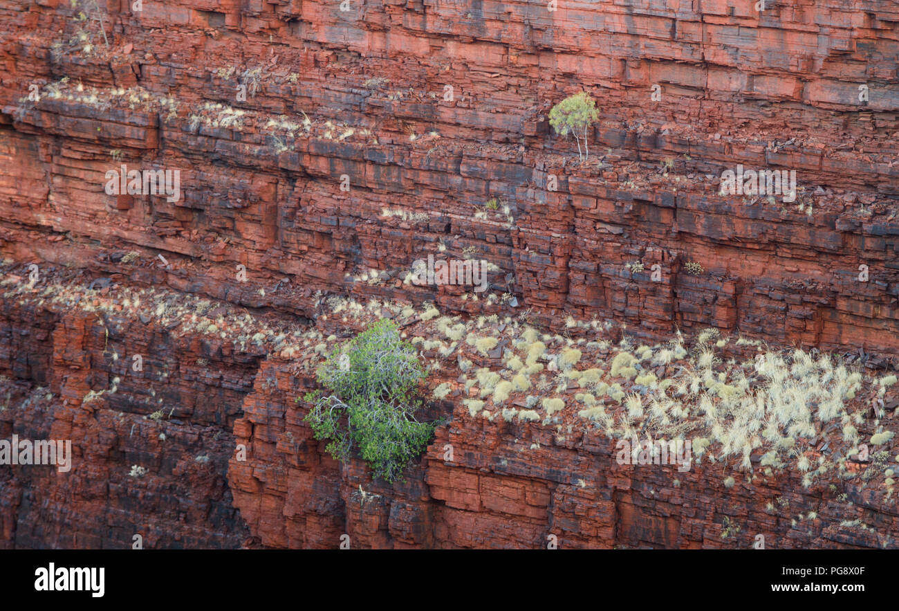 Hancock gorge, karijini national park hi-res stock photography and ...