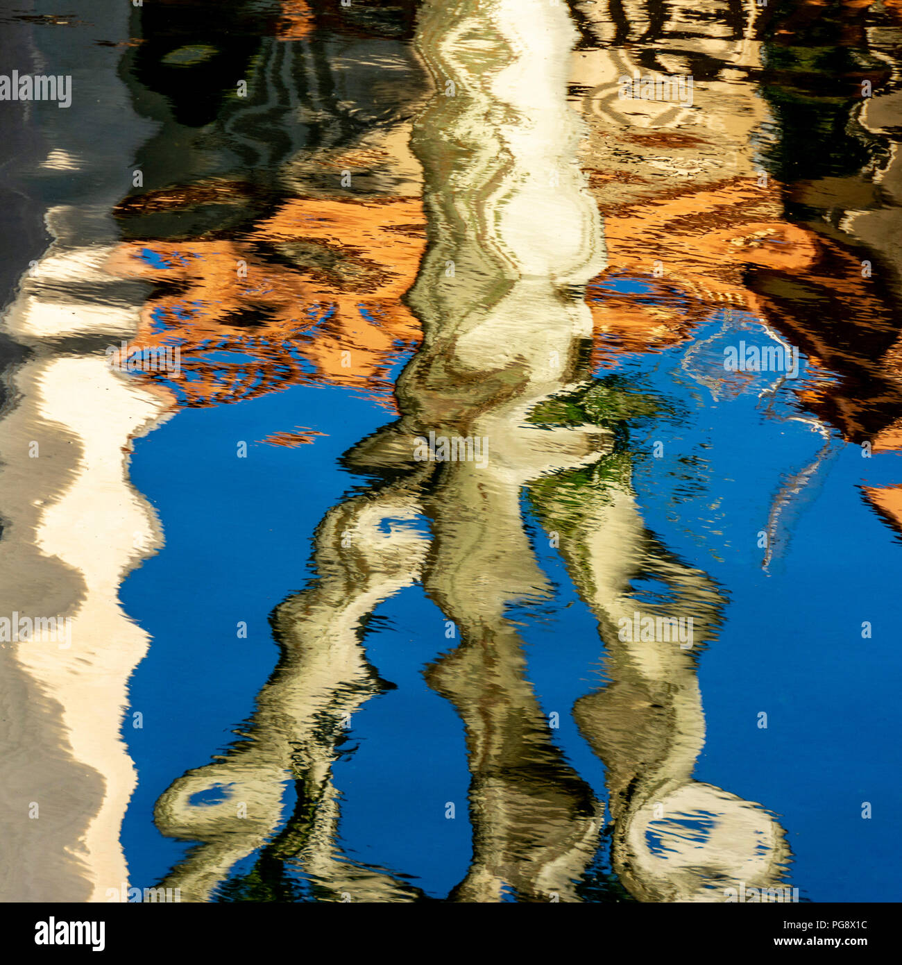 Tree reflection in water. France Stock Photo - Alamy