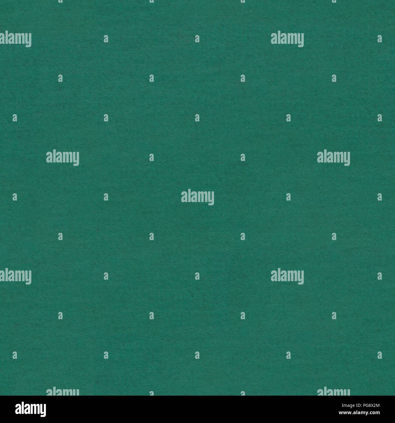 Green Construction Paper Texture
