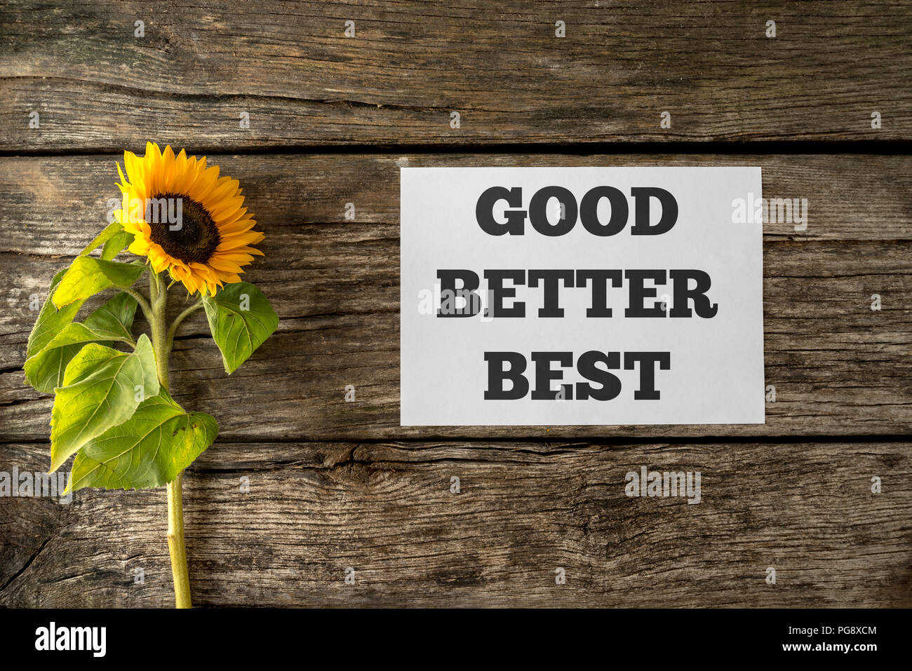 Good Better Best Sign