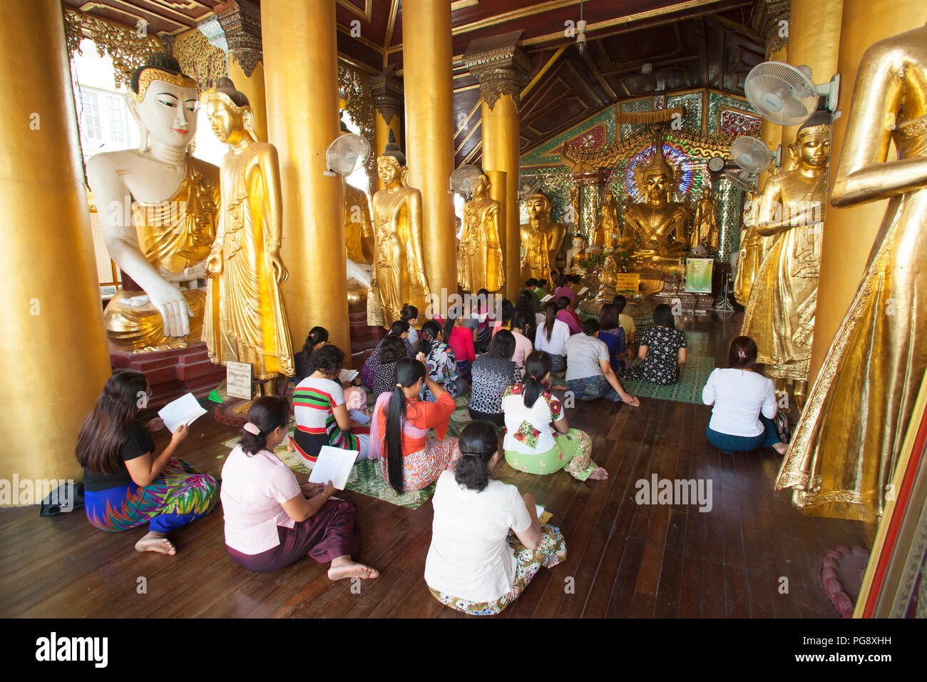 Prying hi-res stock photography and images - Alamy