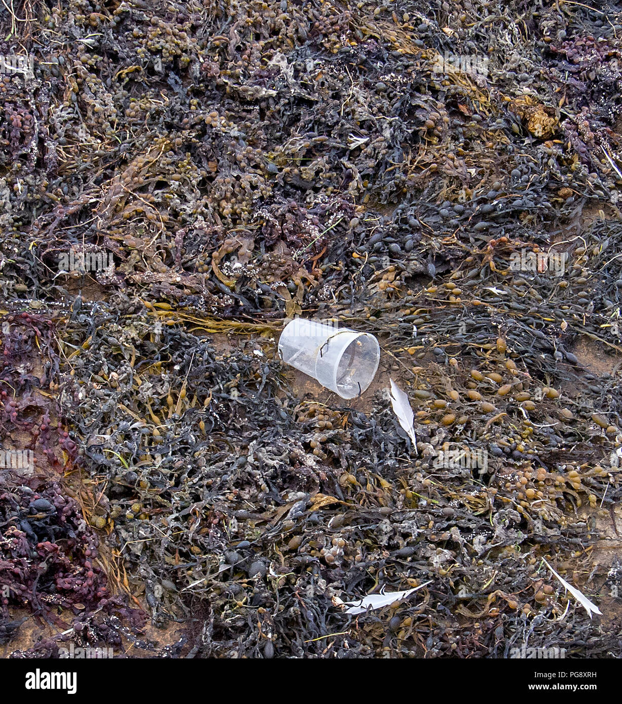 Irish pollution hi-res stock photography and images - Alamy