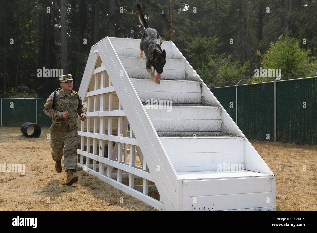 95th military police detachment hi-res stock photography and images - Alamy