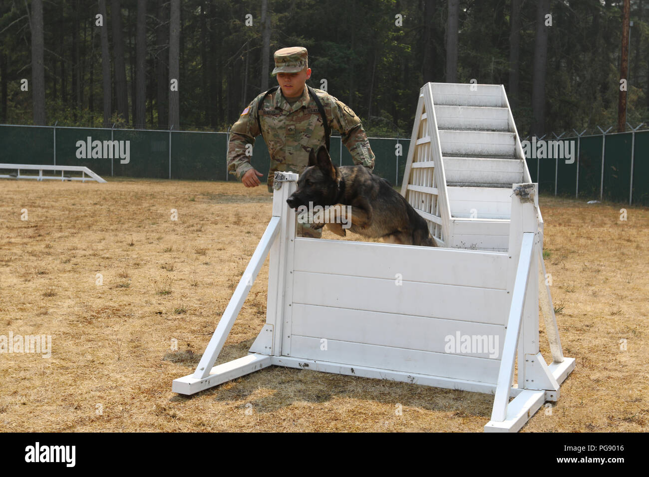 95th military police detachment hi-res stock photography and images - Alamy
