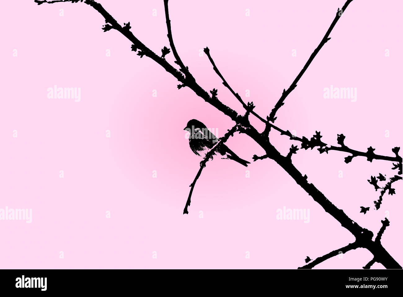 Pop Art work: Bird on Cherry Tree Stock Photo - Alamy
