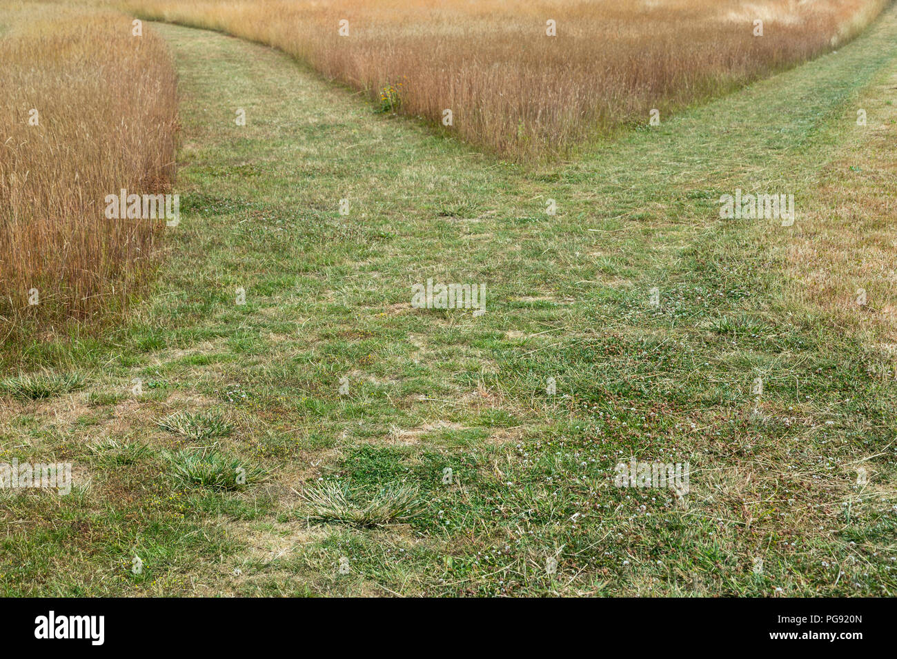 Mown grass footpath hi-res stock photography and images - Alamy
