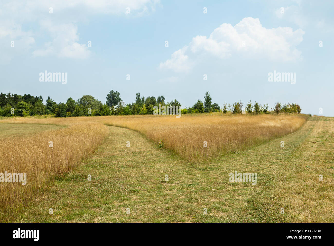 Mown grass pathway hi-res stock photography and images - Alamy