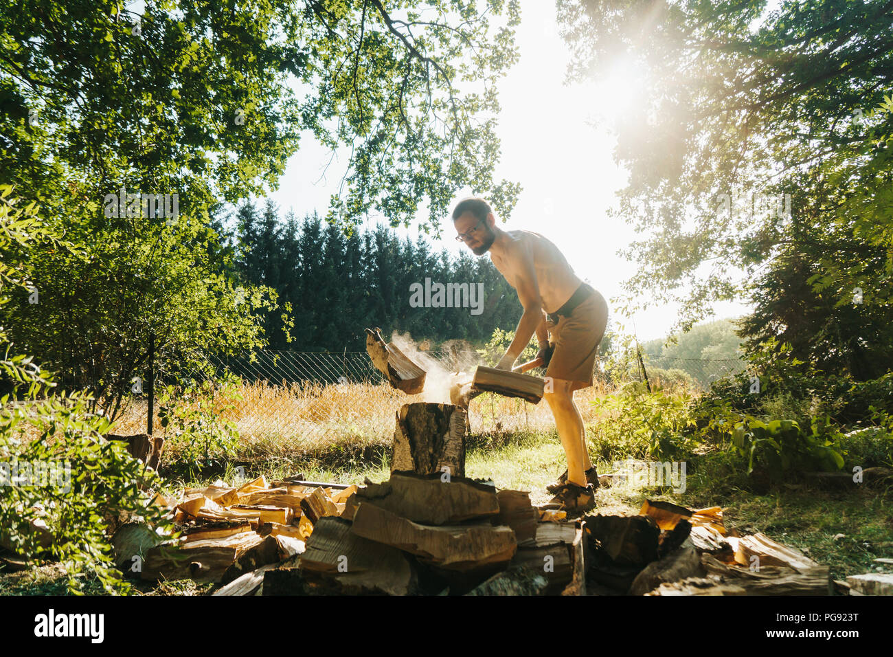 Picture of shirtless man who is chopping wood with an ax Stock Photo ...