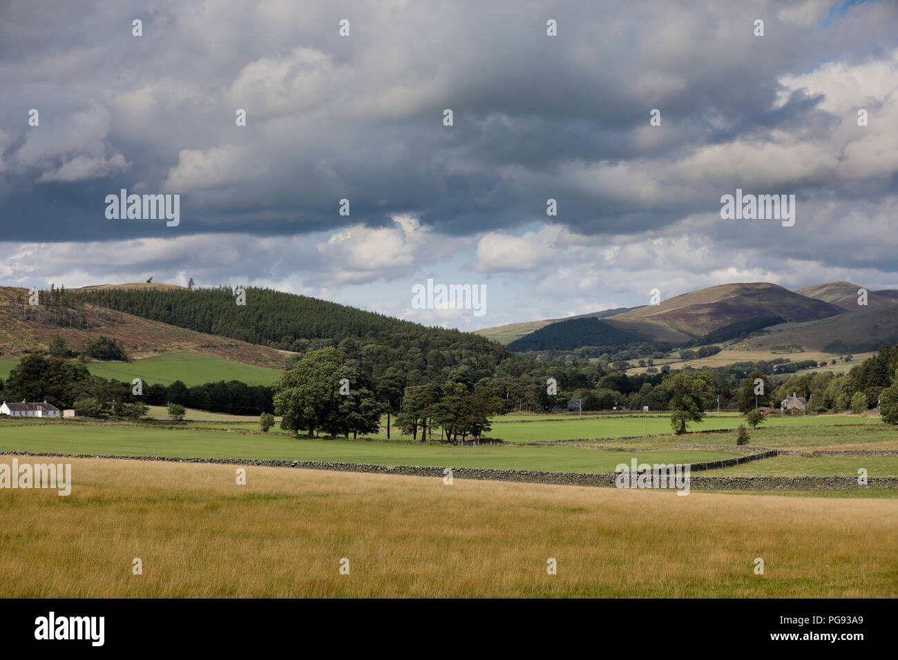 The upper Tweed Valley Stock Photo - Alamy