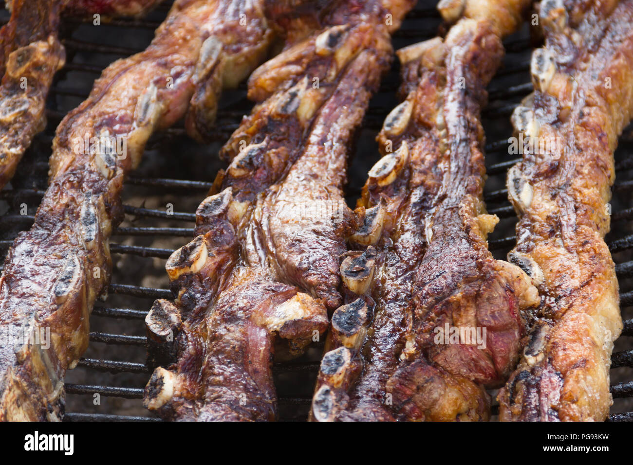 traditional meat grilled on the grill in the Argentine countryside ...