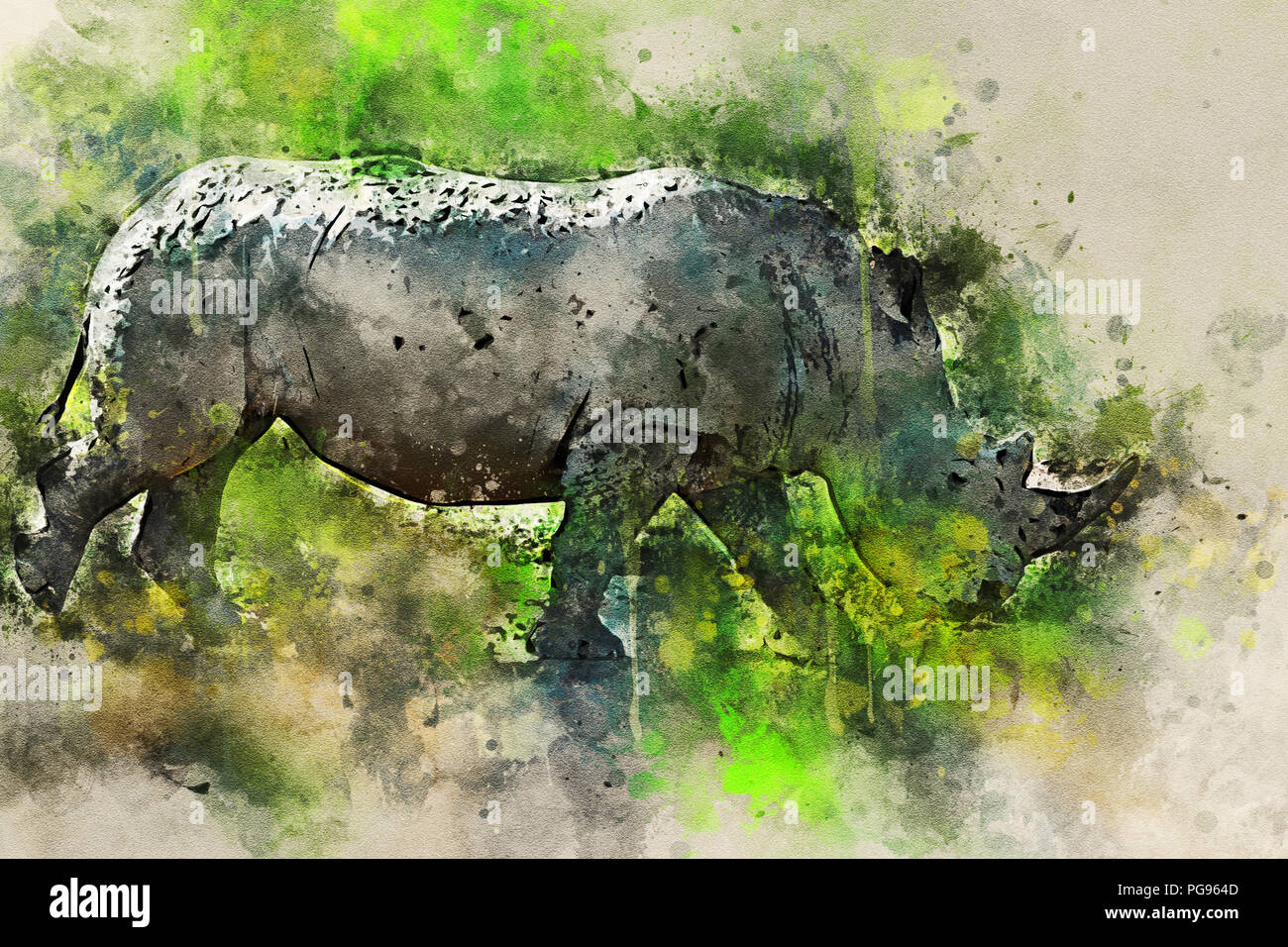 Digital splash watercolor painting of white rhino Stock Photo - Alamy