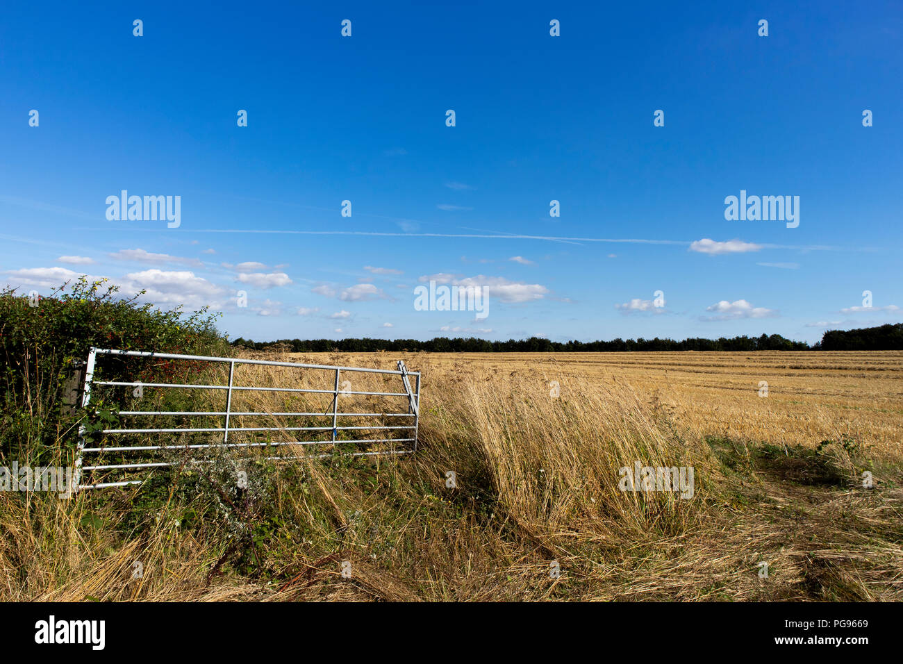 Open metal framed farm gate to farmland field in rural Hampshire Stock ...