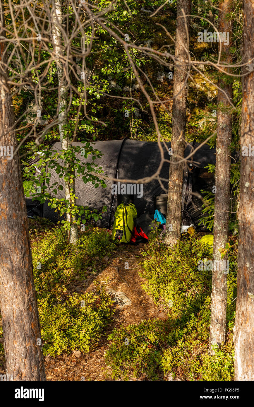 A lonely tent in the wild forest on the shore of the Saimaa lake in the ...