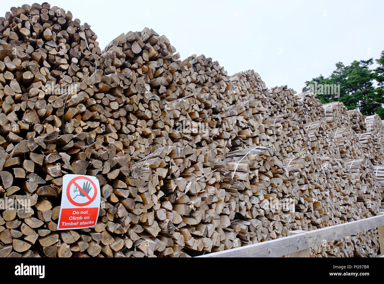 Bundles of metre length wooden logs neatly piled in UK garden centre ...