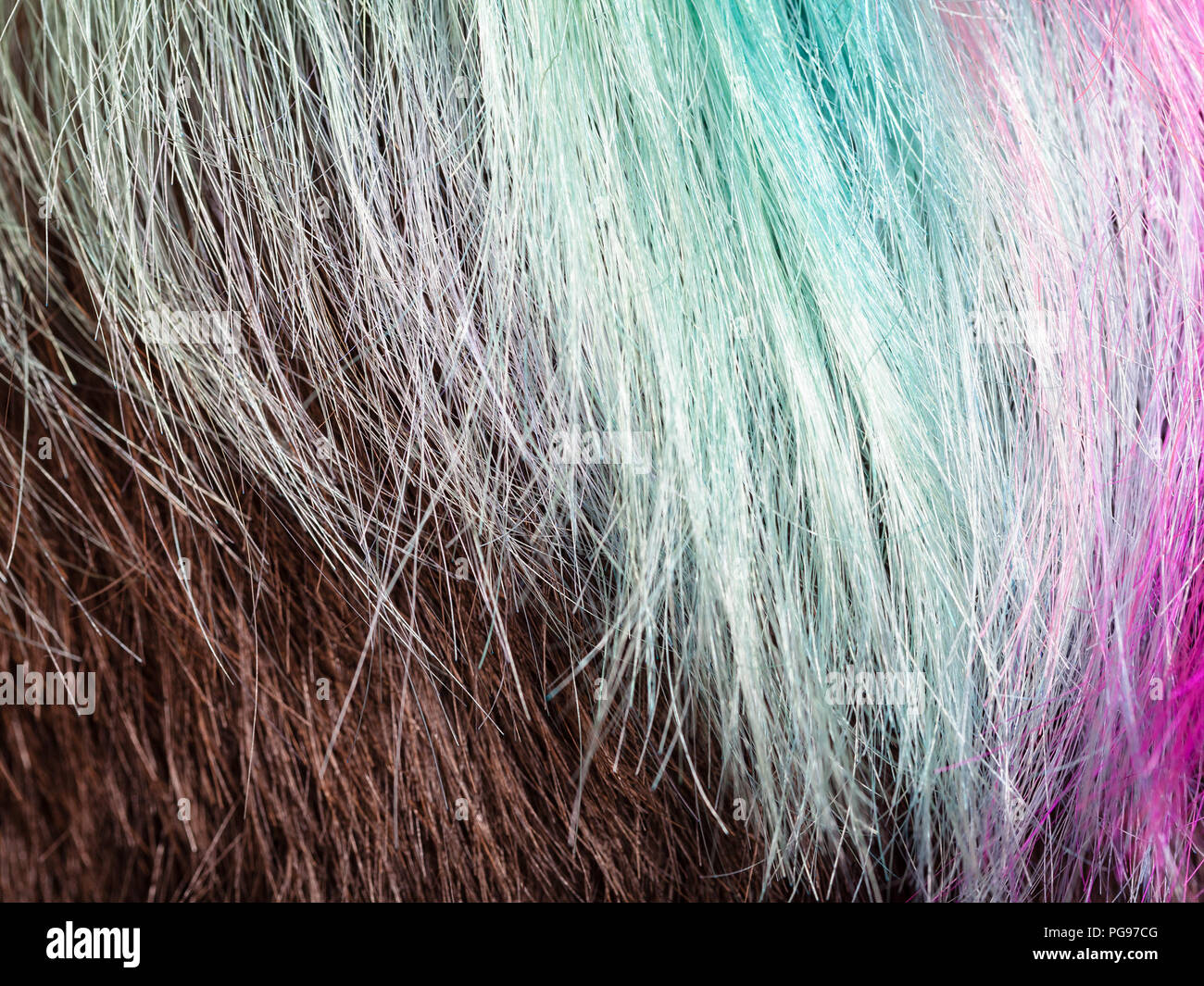 colored strands of female hairs close up Stock Photo - Alamy