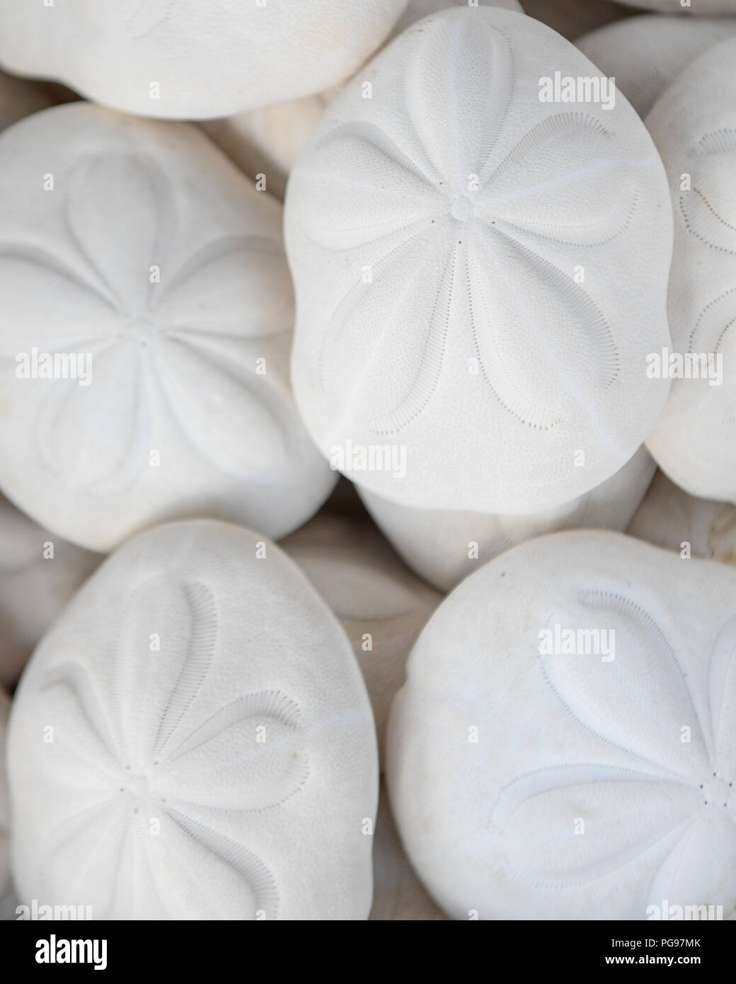 Seabiscuit not film hi-res stock photography and images - Alamy