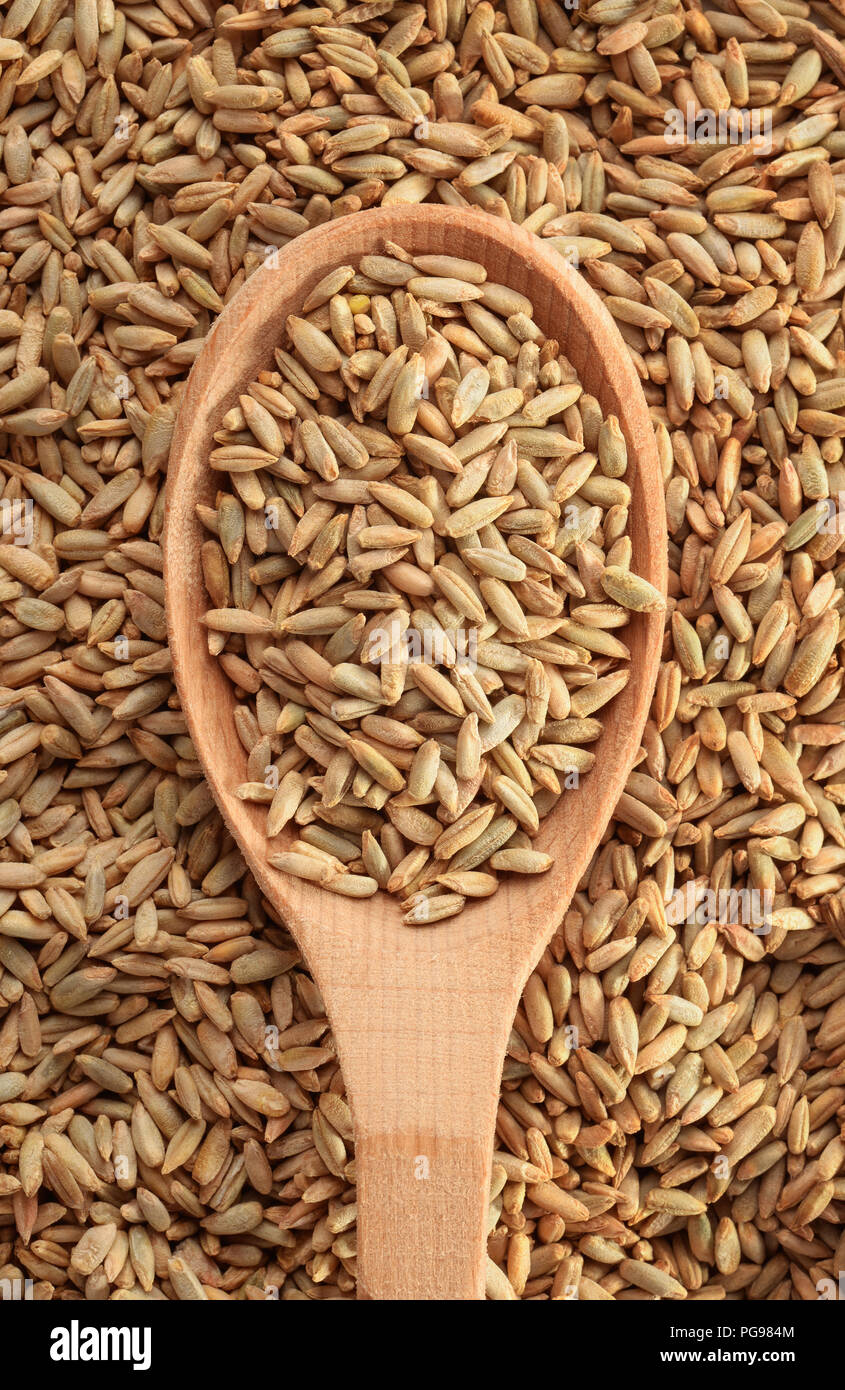 Top view of rye grains with spoon Stock Photo - Alamy