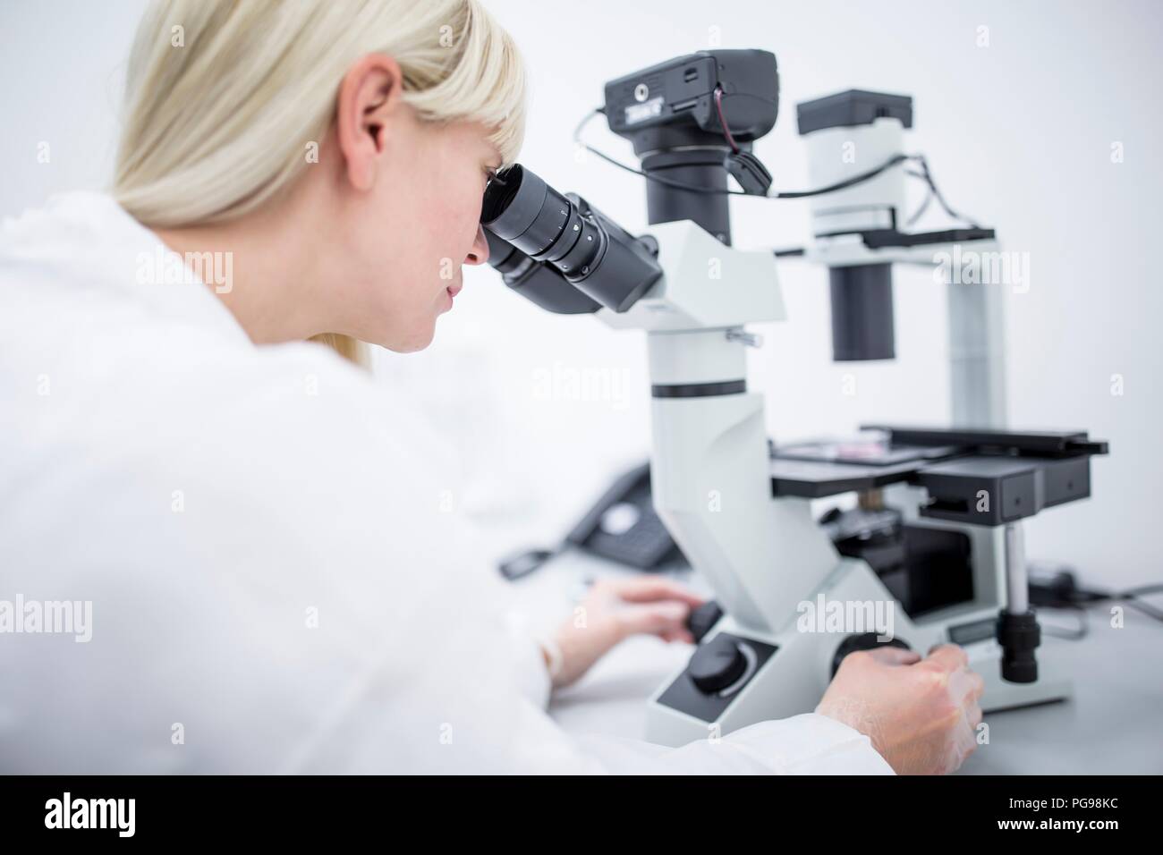 Scientist examining cultured cells under a microscope Stock Photo - Alamy