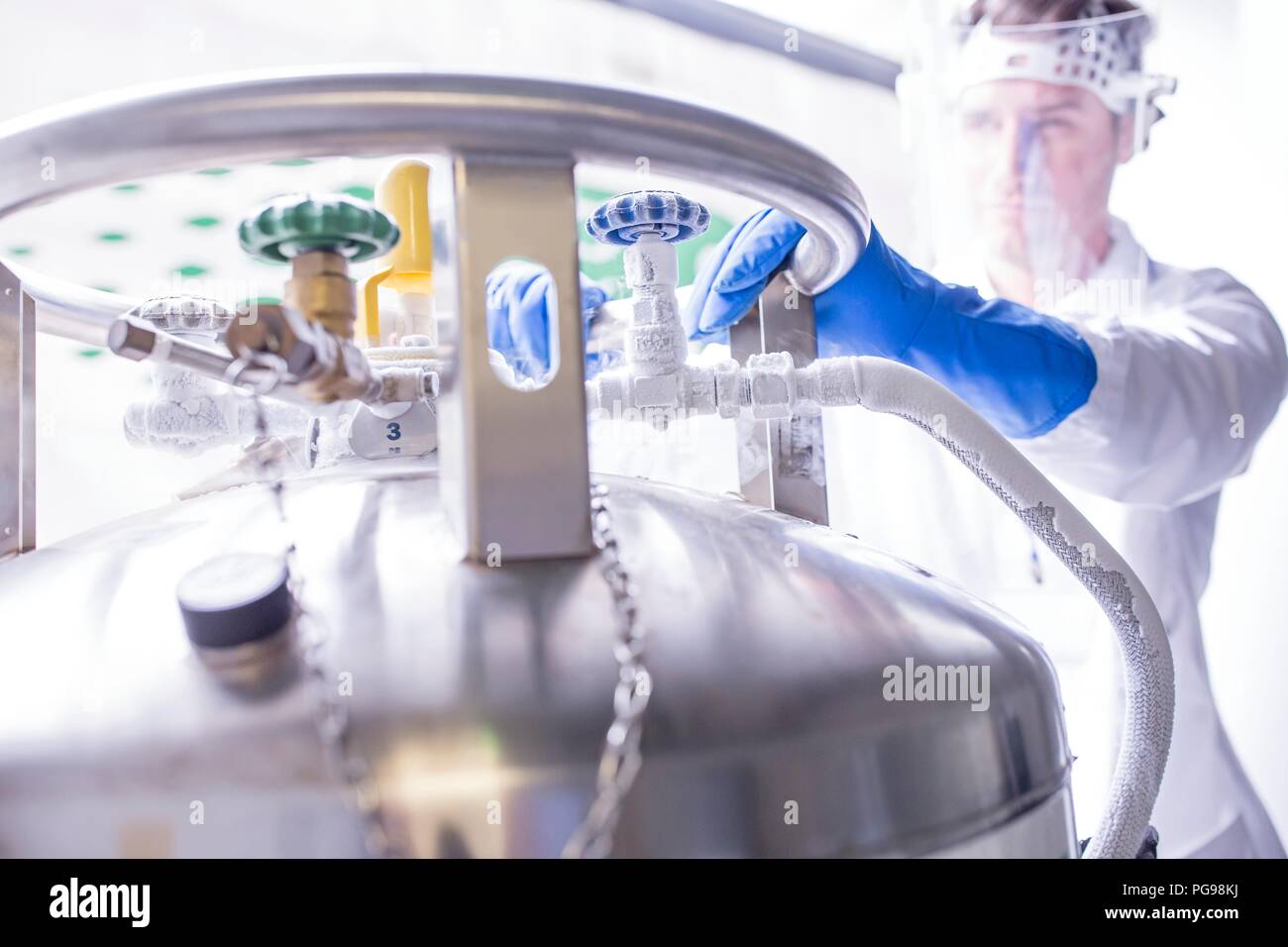 Technician storing stem cell samples in cryostorage. They have been ...